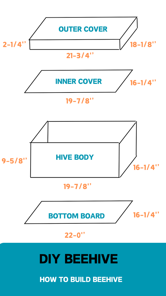 DIY Langstroth Hive: Step-by-Step Guide and Pros vs. Cons of Building ...