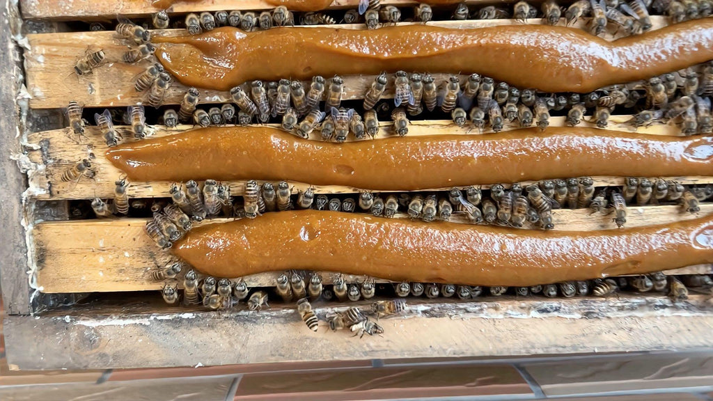 How to make homemade bee feed? Turning Pollen into Pollen Patties ...