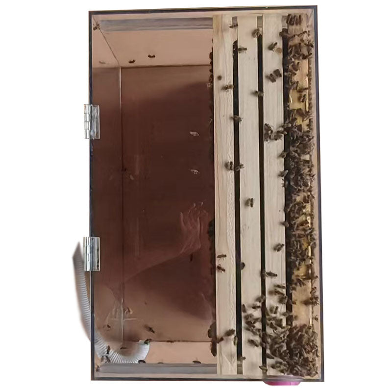 Transparent Beehive PC Hive Kit-10 frames – ihivefarm