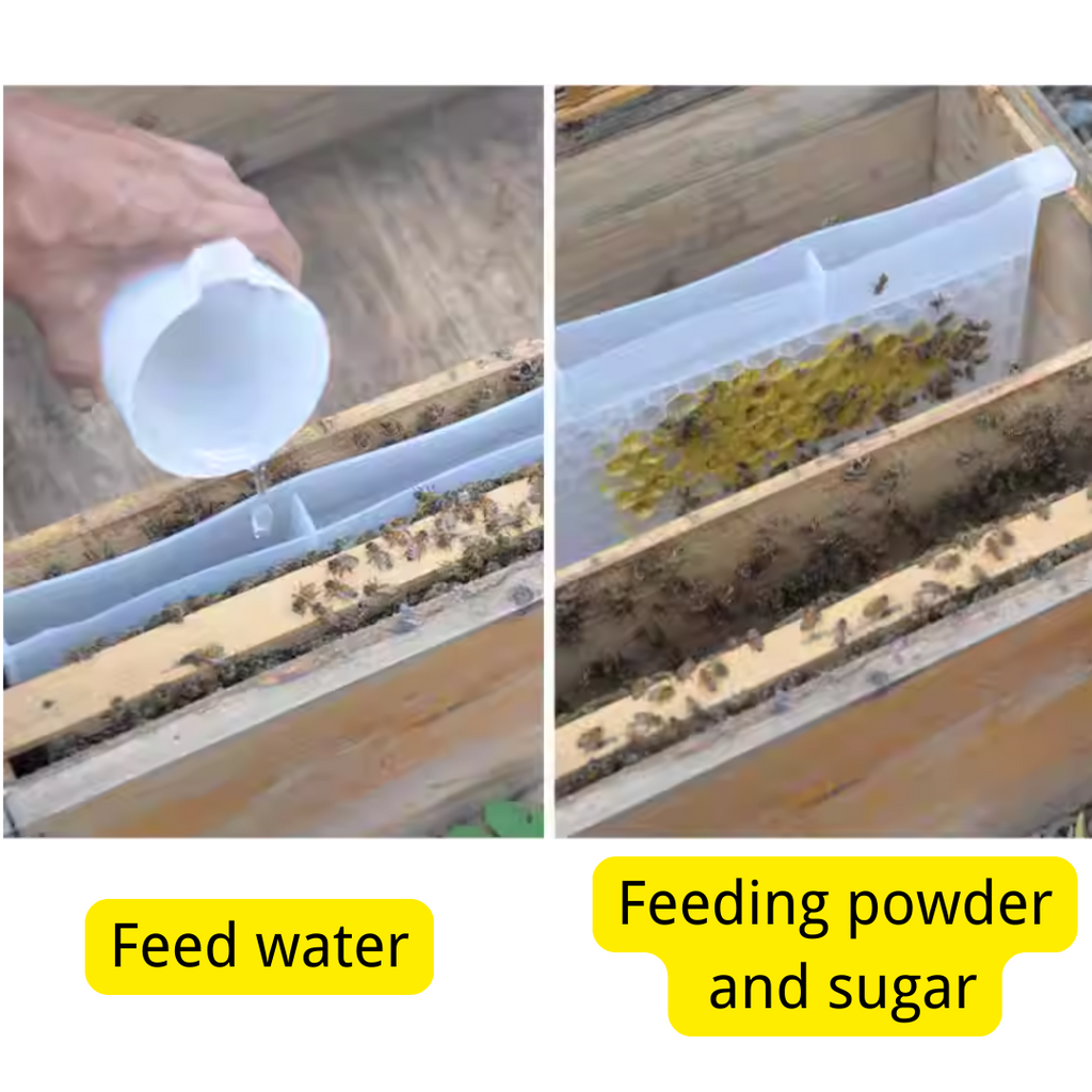 Beekeeping Pollen Feeding Grid 1 pack – ihivefarm