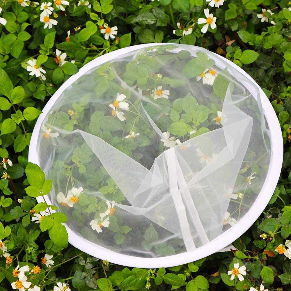 Honey Bee Filter – ihivefarm